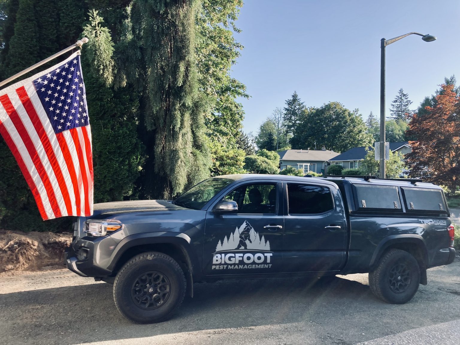 Local Pest Control in Olympia WA | Bigfoot Pest Management